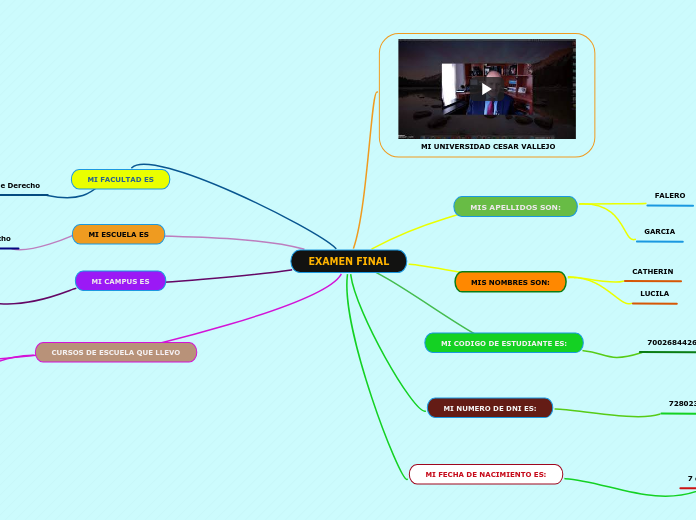 EXAMEN FINAL - Mind Map